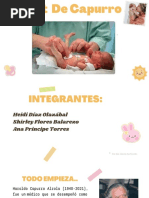 Escala de Capurro | PDF