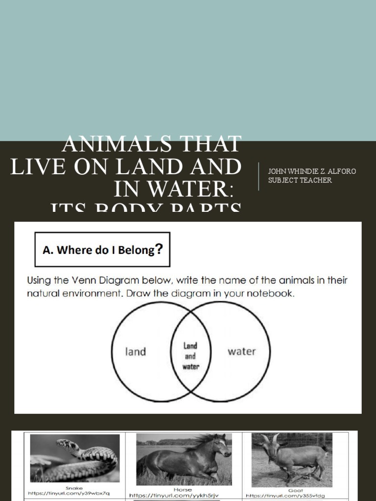 Animals That Live in Both Water and Land | PDF