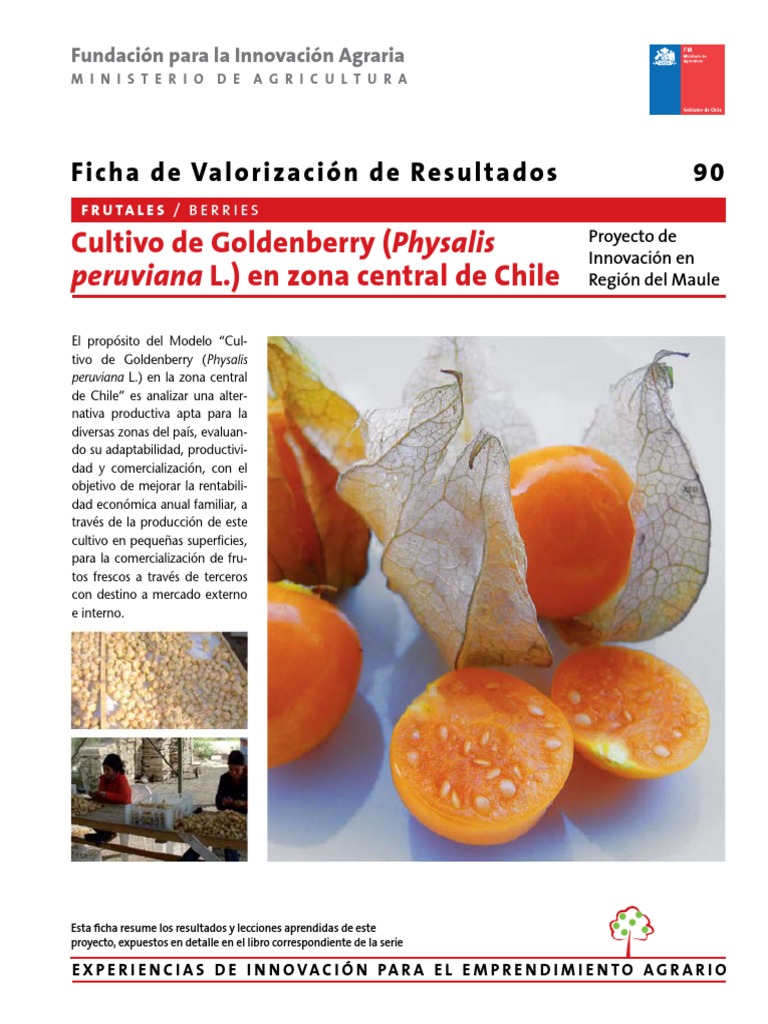 90 Ficha Physalis | PDF | Agricultura | Precios