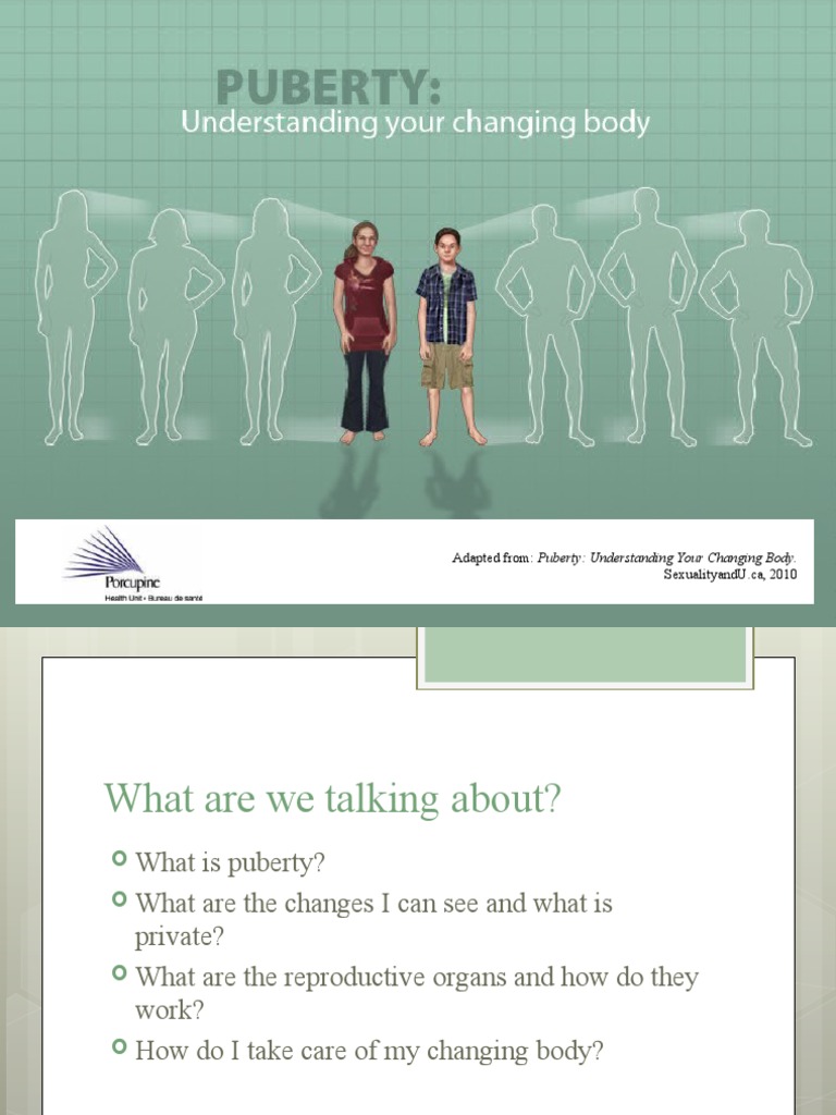 Sh Puberty Presentation Pdf Puberty Hair