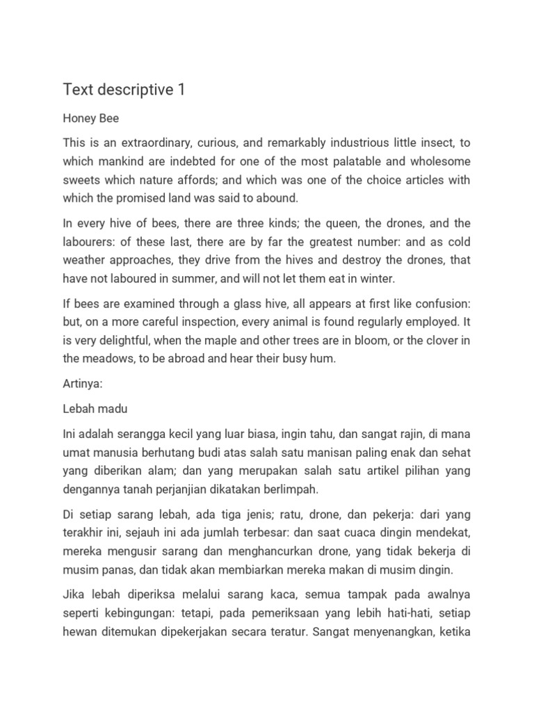 Text Descriptive 1 | PDF | Cats | Orangutan