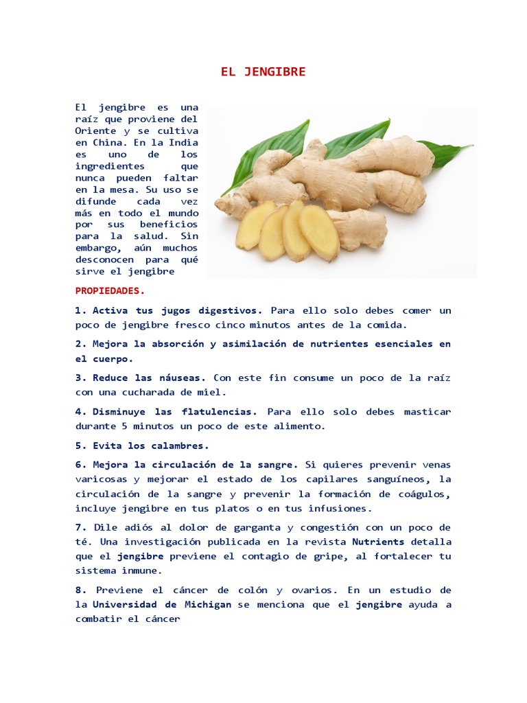 El jengibre | PDF | Jengibre | Medicina CLINICA