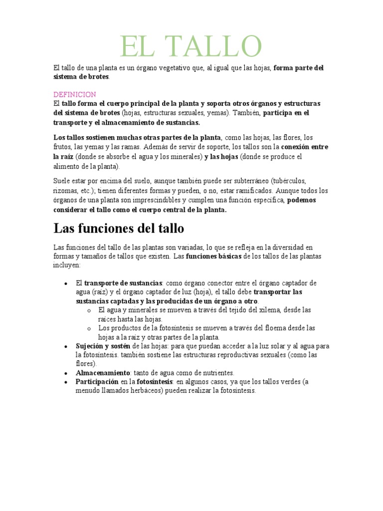 El Tallo | PDF | Tallo de la planta | Raíz