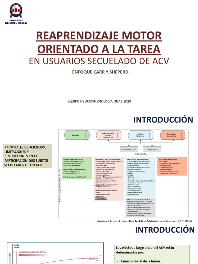 Reaprendizaje Motor Post ACV: Enfoque Carr y Shepherd | PDF | Carrera ...