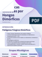 Ficha Técnica Quantrel | PDF | Medicamentos con receta | El embarazo