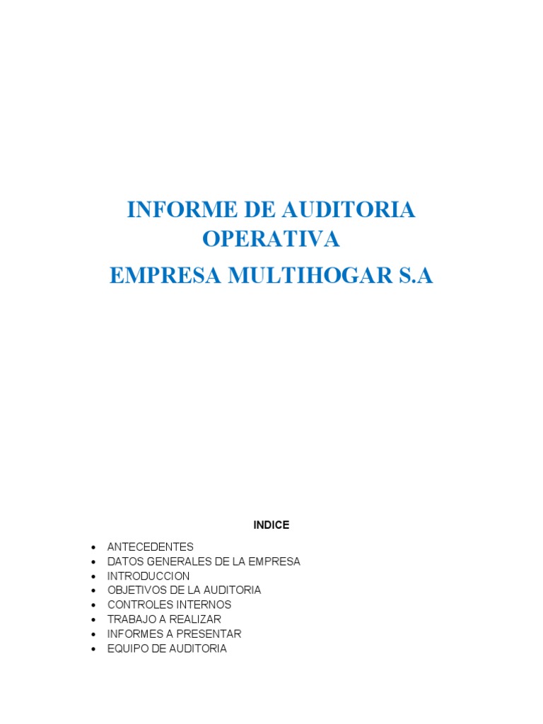 Informe de Auditoria Operativa | PDF | Auditoría | Business