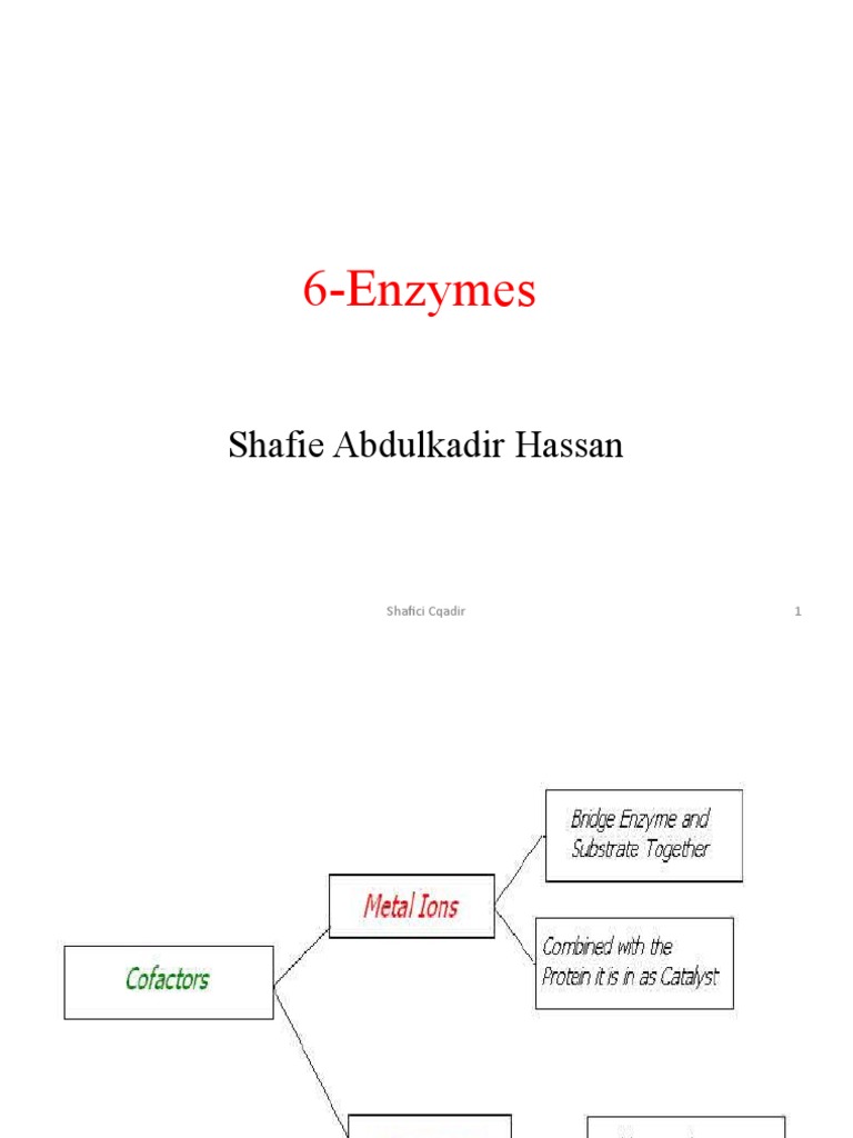 Enzymes | PDF | Enzyme | Cofactor (Biochemistry)