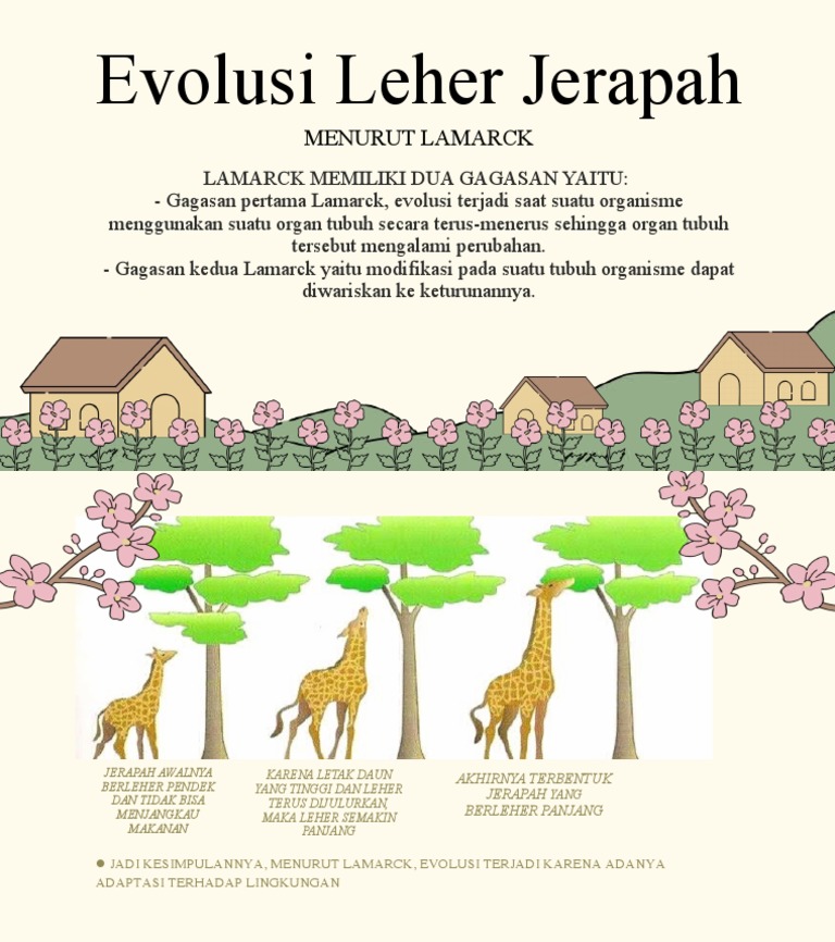 Evolusi Leher Jerapah Menurut Lamarck | PDF