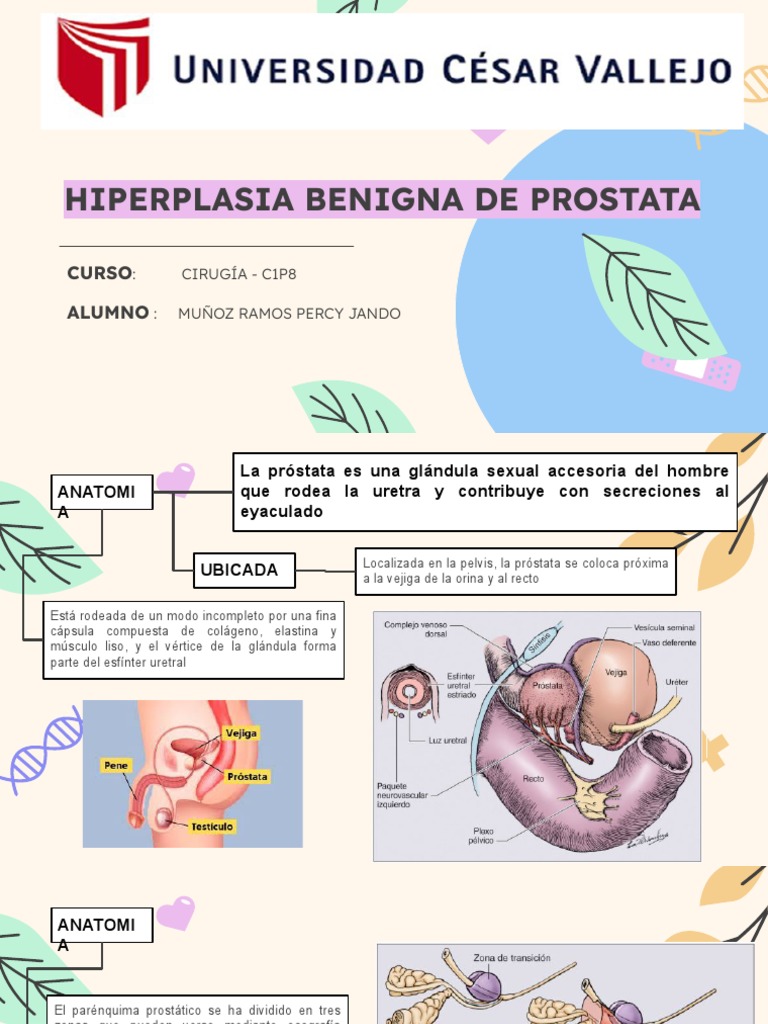 Hiperplasia Benigna de Prostata | PDF | Vejiga urinaria ...