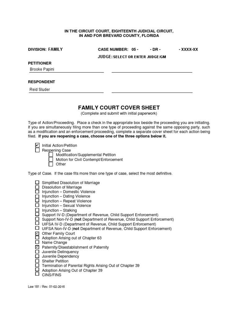 .Family Court Cover Sheet - 181 | PDF | Child Support | Lawyer