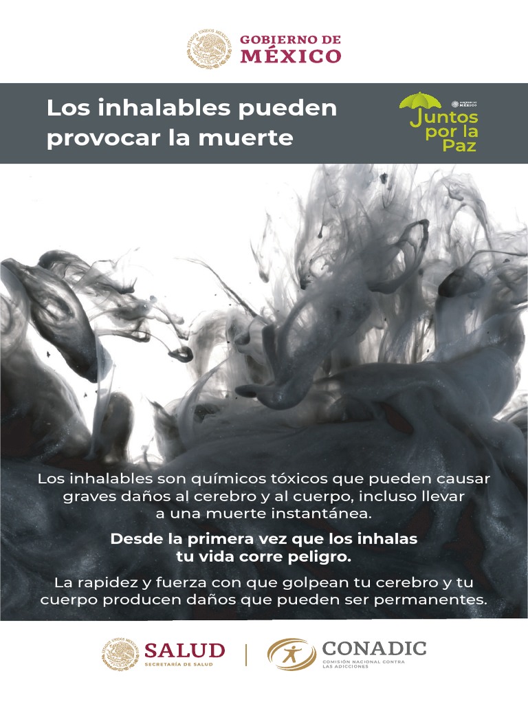 BCudvbRyIF INHALABLES - Infografia 3 | PDF