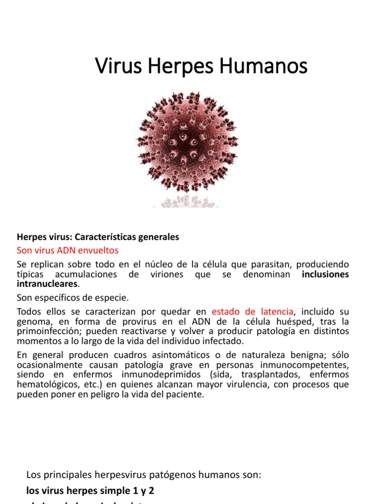 Virus Herpes Humanos | PDF | Virus | Herpes Simple
