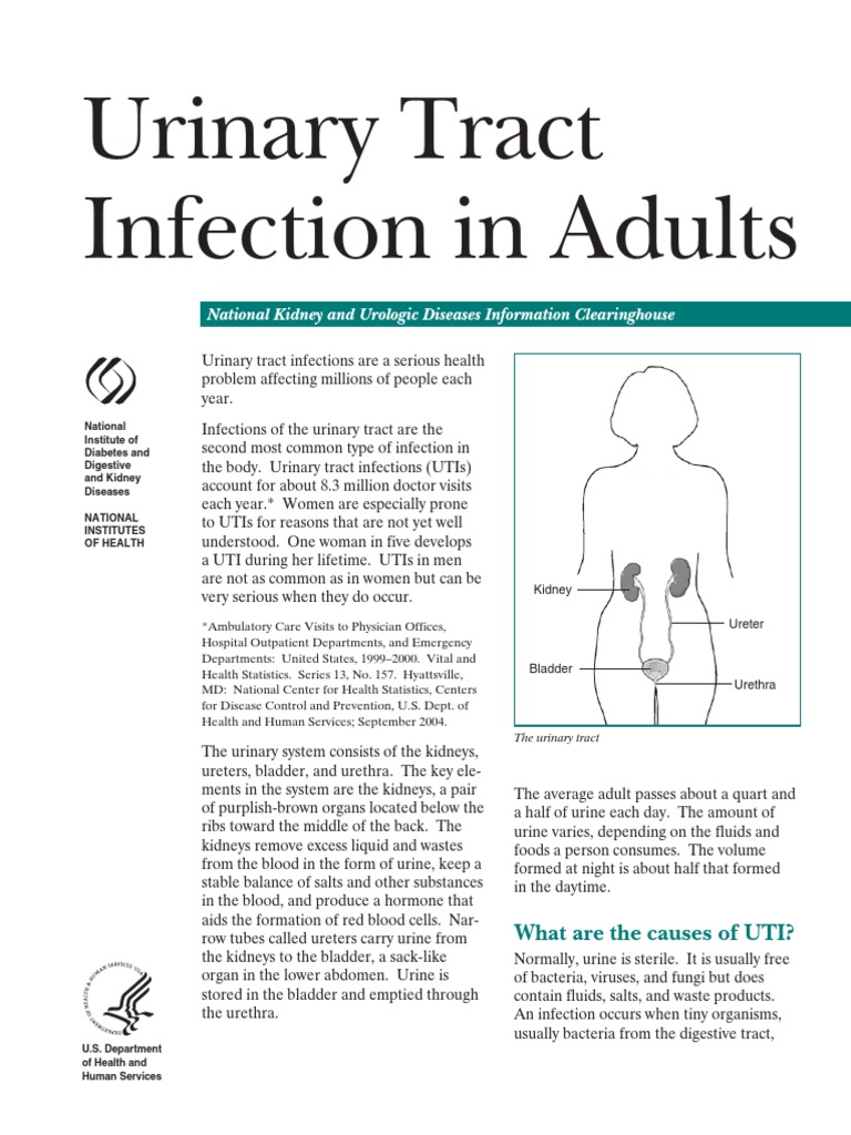 Urinary Tract Infection in Adults | PDF | Urinary Tract Infection ...