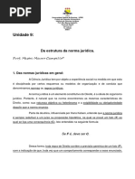 Notas Sobre A Introdução Ao Pensamento Jurídico (Einführung in Das ...