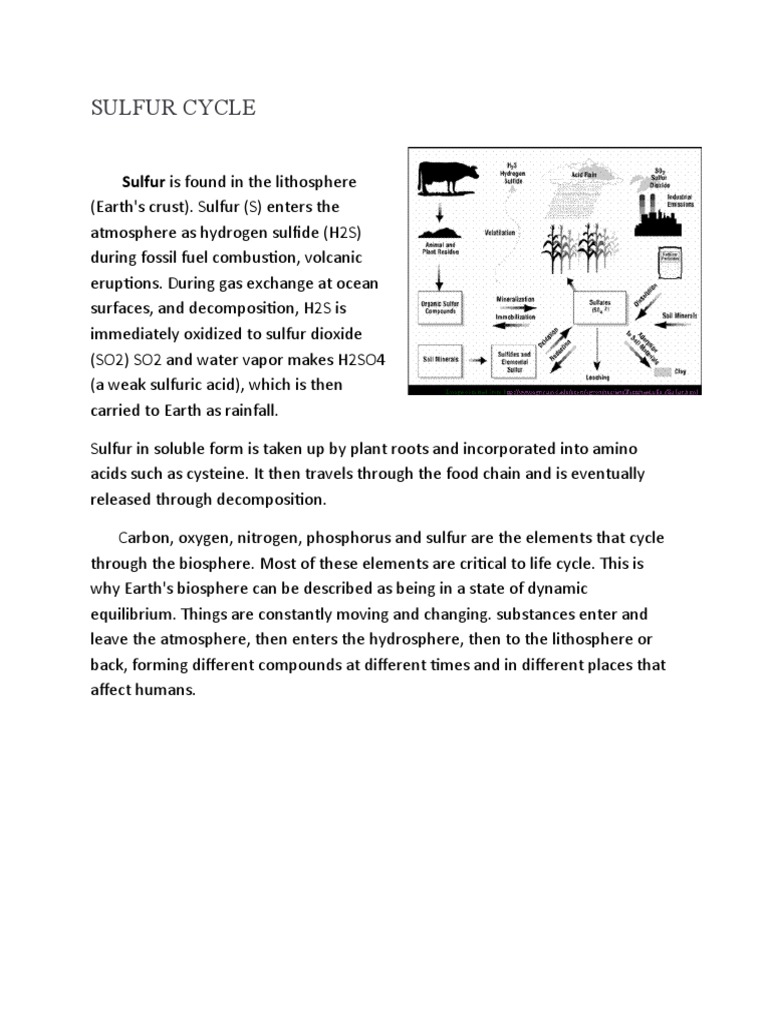 SULFUR CYCLE | PDF