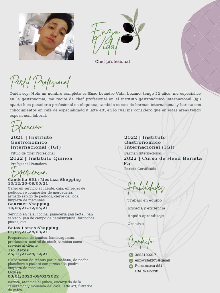 Currículum Vitae Chef Orgánico Verde | PDF | Cocina | Comida y bebida