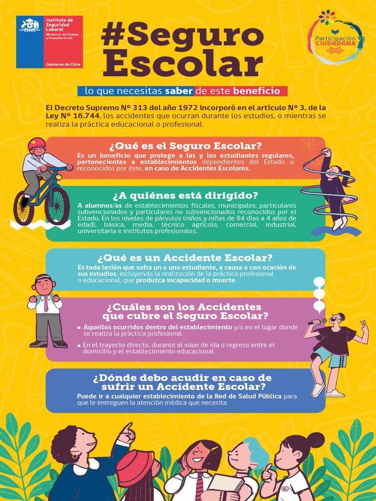 Volante Digital Seguro Escolar | PDF