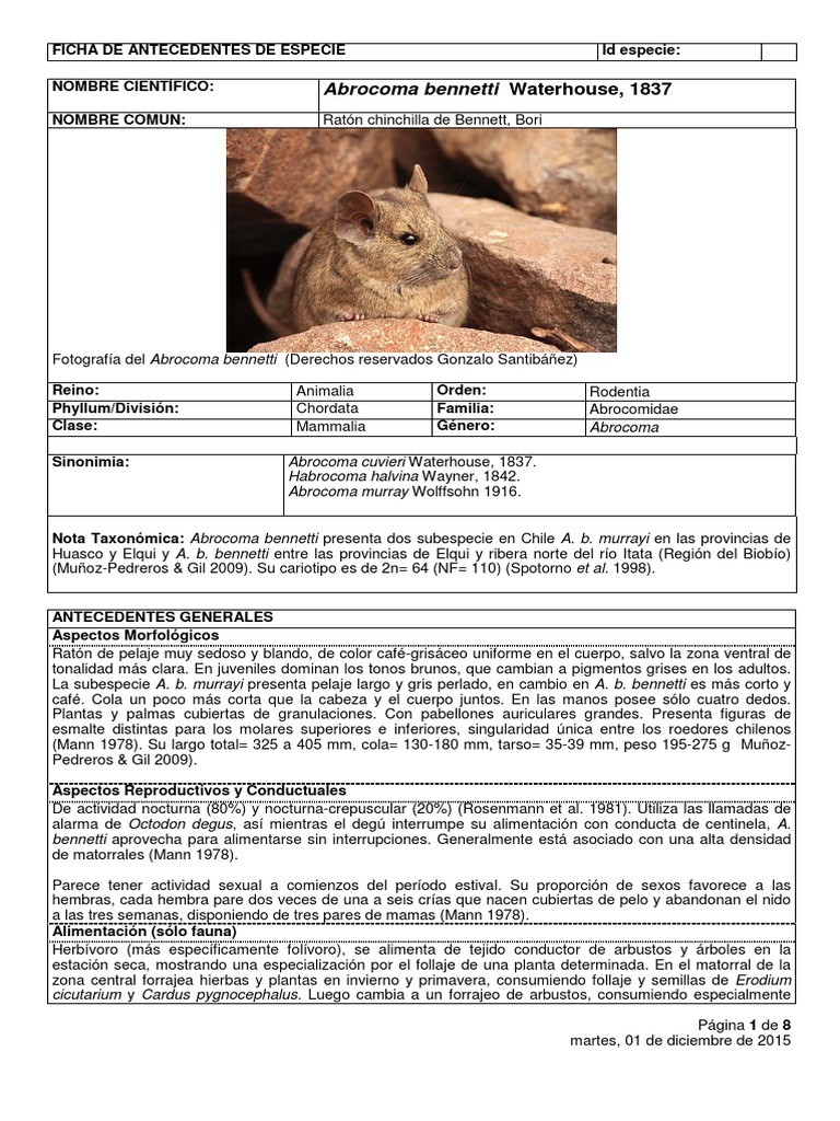 Abrocoma bennetti: Ficha de Especie | PDF | Chile | Entorno natural