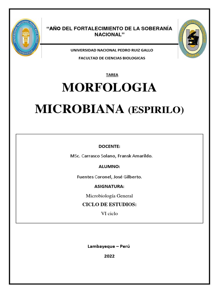 Morfología de los Espirilos Bacterianos | PDF | Las bacterias ...
