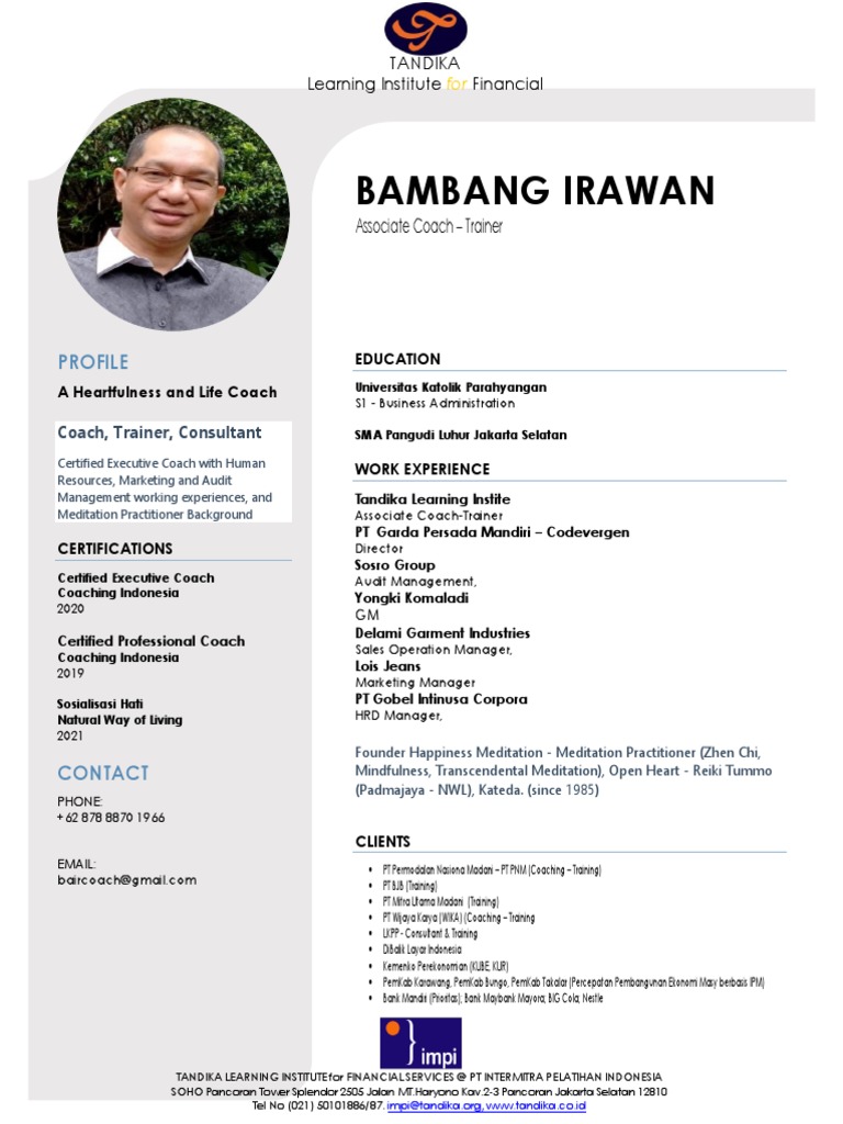 CV Bambang Irawan | PDF | Fringe Science