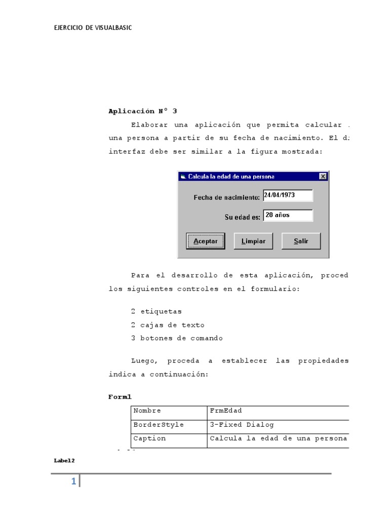 Calculadora de Edad en Visual Basic | PDF