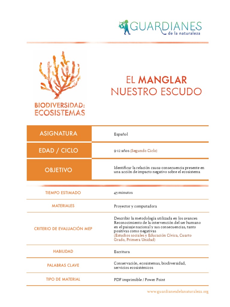 Guia El Manglar Nuestro Escudo II Ciclo | PDF | Mangle | Ciencias de la Tierra