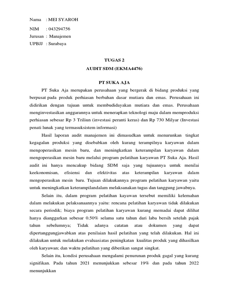Tugas 2 Audit SDM - Mei Syaroh | PDF