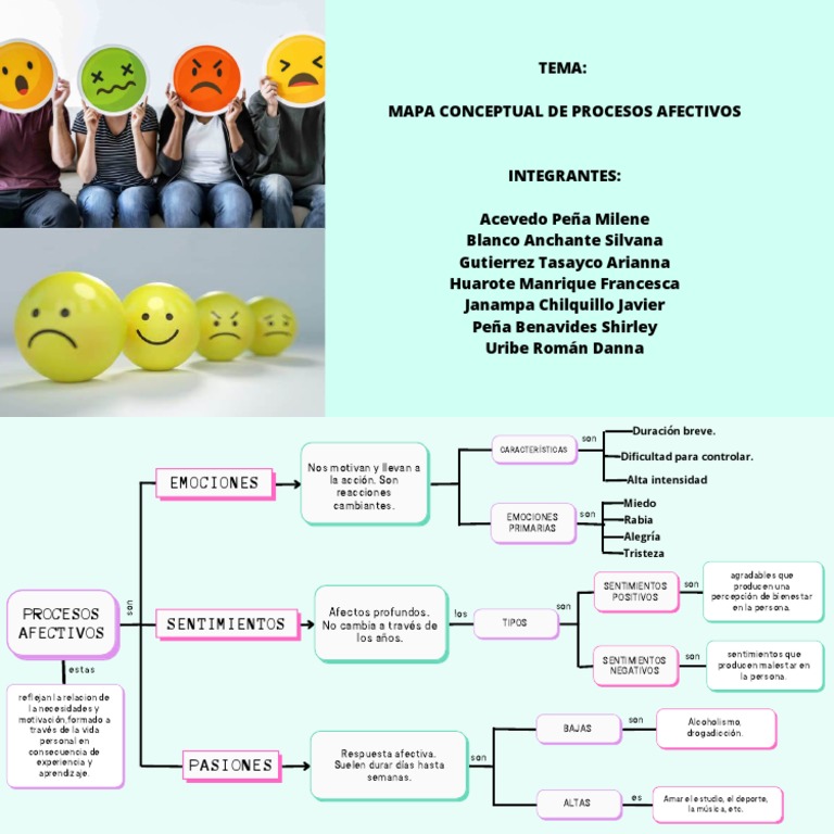 Mapa Conceptual de Los Procesos Afectivos | PDF | Las emociones | Metafísica de la mente