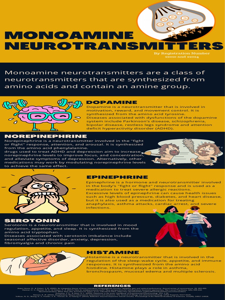 Monoamine Neurotransmitters | PDF | Neurotransmitter | Norepinephrine