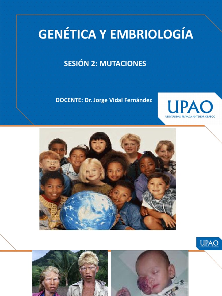 Semana 2. Teoria Genética PPT Mutaciones | PDF | Mutación | Mutageno