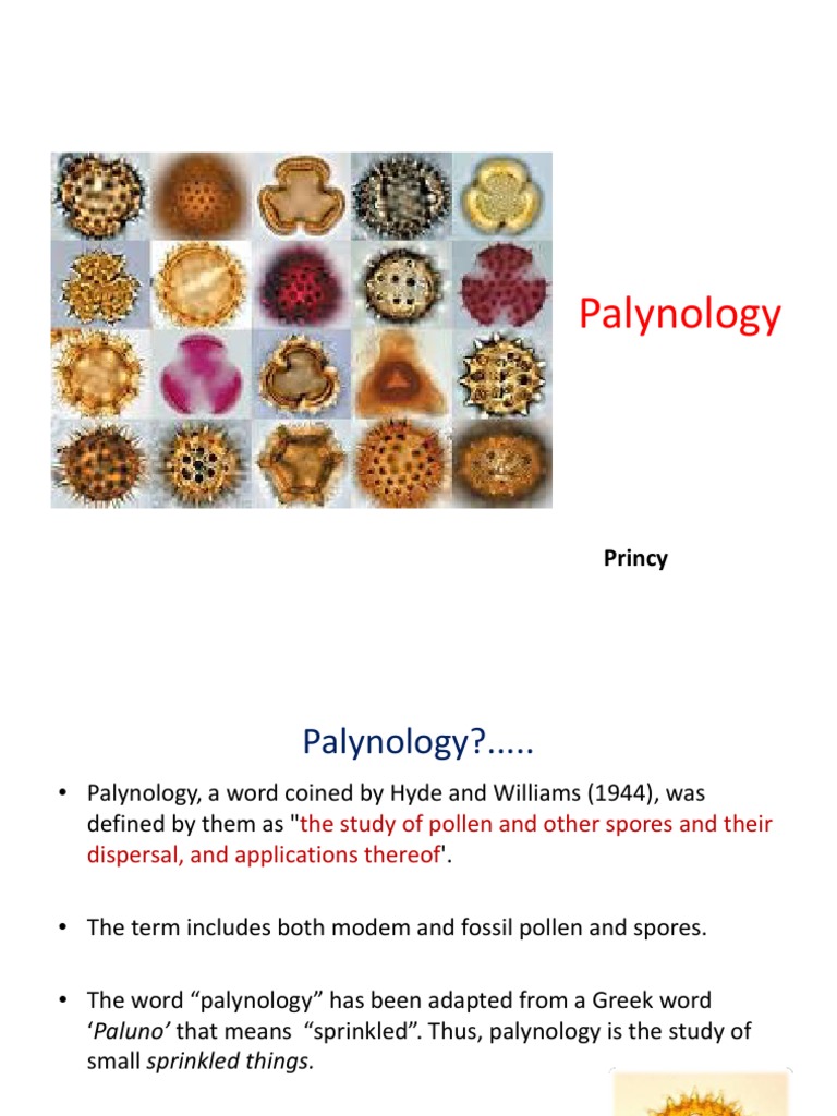 Ms PrincyMolAP Palynology | PDF | Pollen | Spore