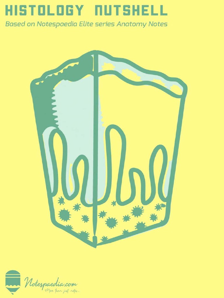 Histology of Epithelial Tissues | PDF | Epithelium | Anatomical Terms ...