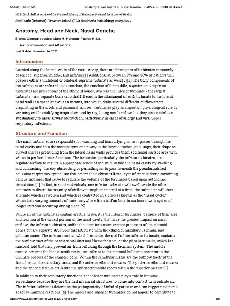 Anatomy, Head and Neck, Nasal Concha - StatPearls - NCBI Bookshelf ...