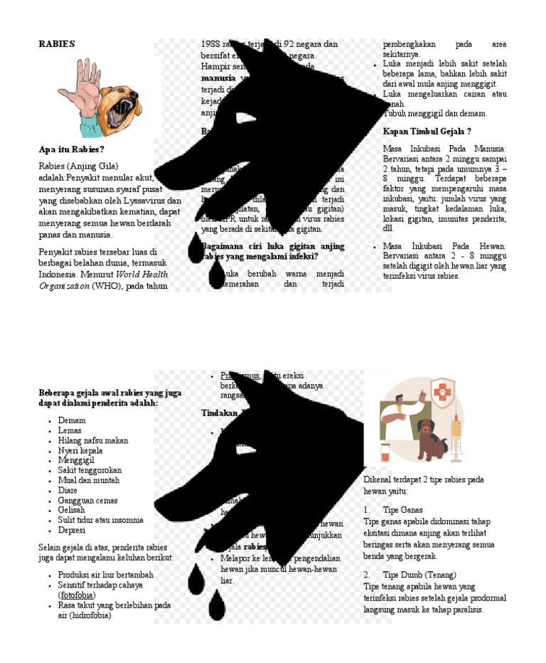 Leaflet RABIES | PDF