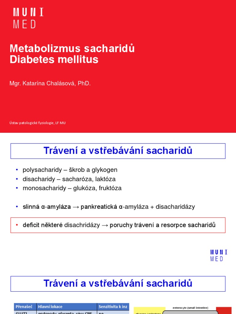 Diabetes Metab Sachar Studentum | PDF