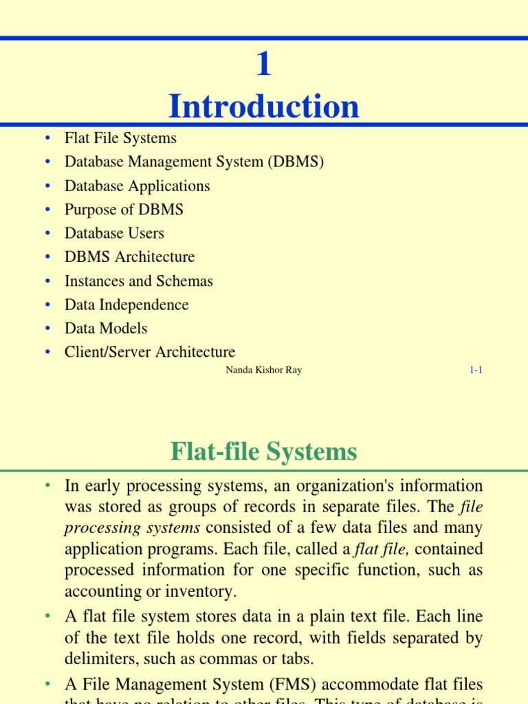 1 Introduction Pdf Databases Conceptual Model