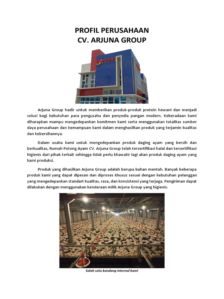 Profil Perusahaan | PDF