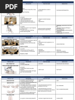 MMSA Story - 'Training Ship Dinner' | PDF | Flagellation