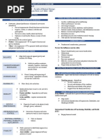 ICF Model Template Overview | PDF