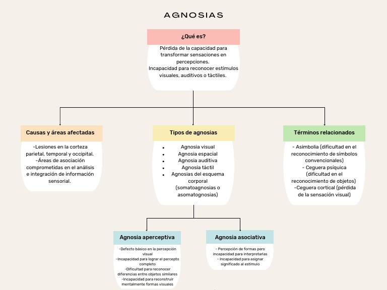 Mapa Agnosias | PDF | Percepción | Percepción visual