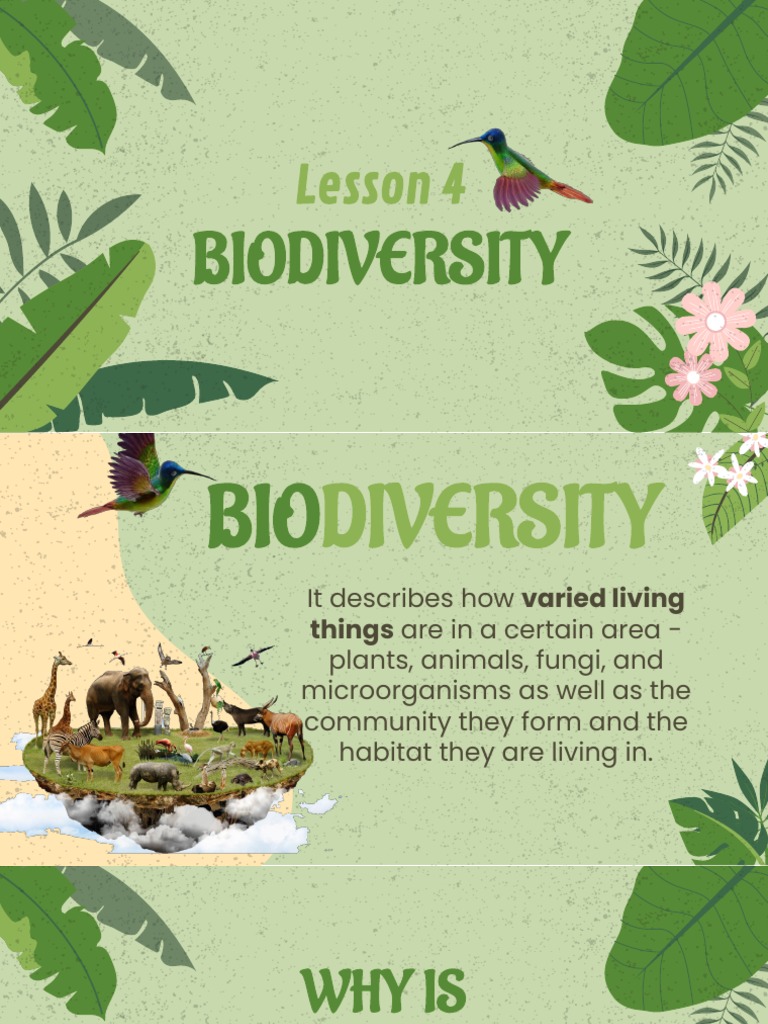 4 4 Biodiversity Pdf Species Biodiversity