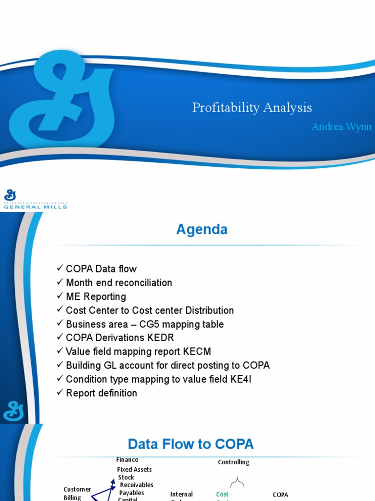 Copa | PDF | Depreciation | Cost Of Goods Sold