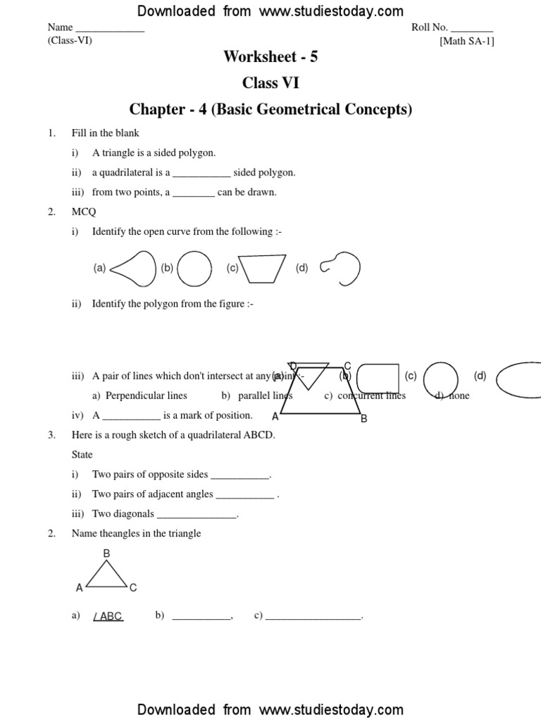 Class 6 Worksheet(1) | PDF