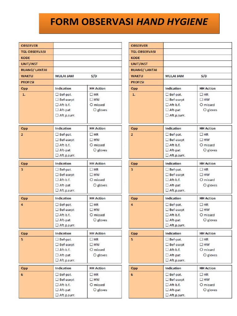 Form Audit Hand Hygiene | PDF