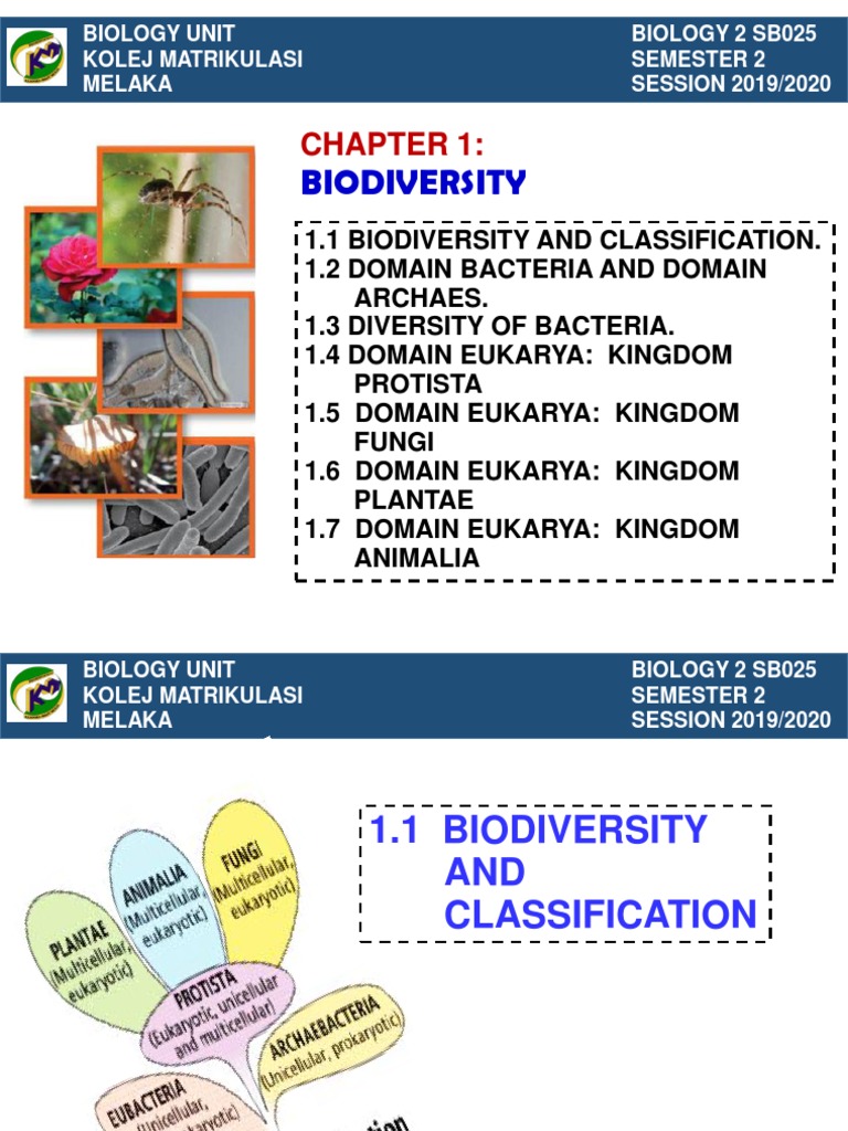 1.1 Biodiversity and Classification | PDF | Biological Classification ...