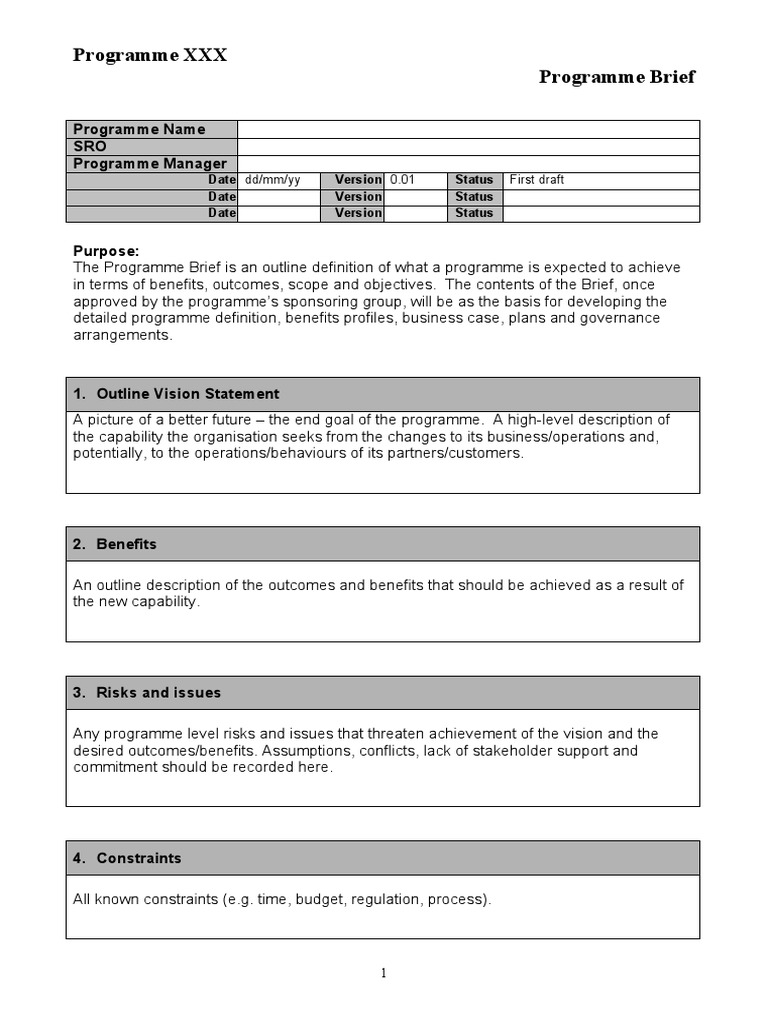 Template Programme Brief | Download Free PDF | Risk | Business
