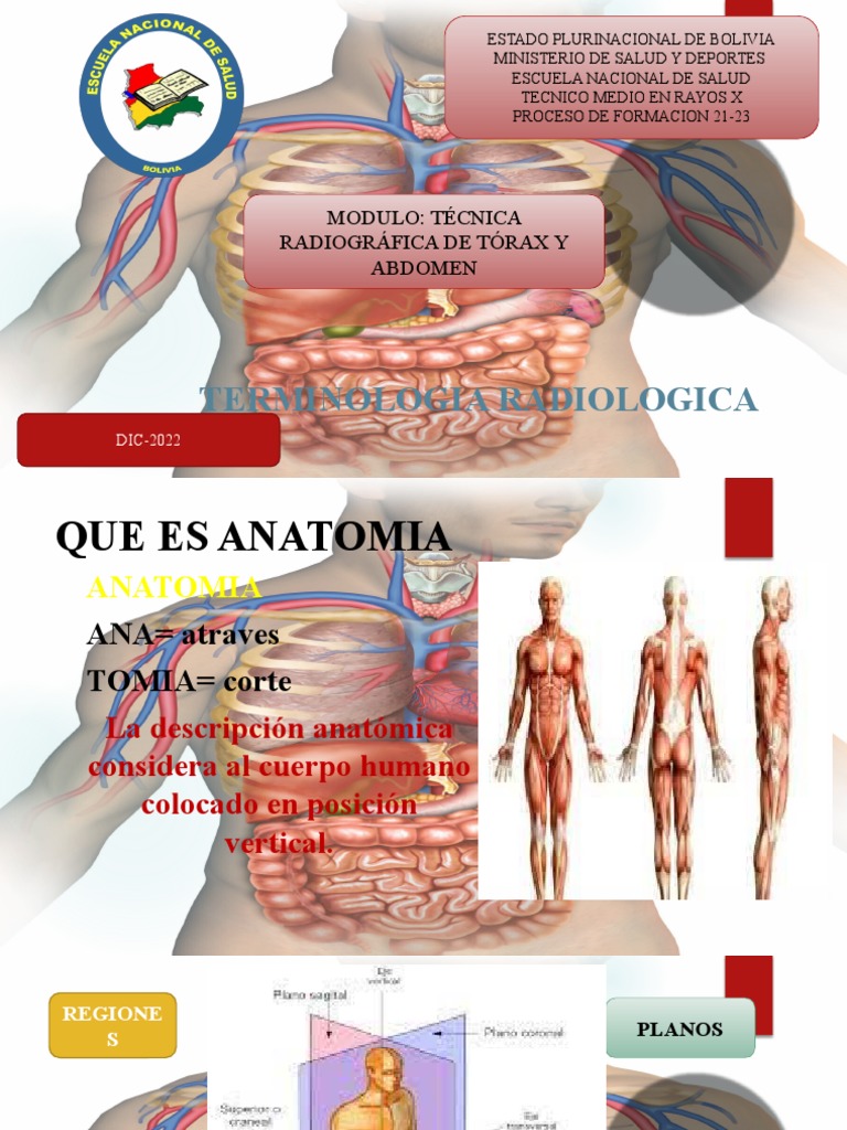 Posiciones Anatomicas | PDF