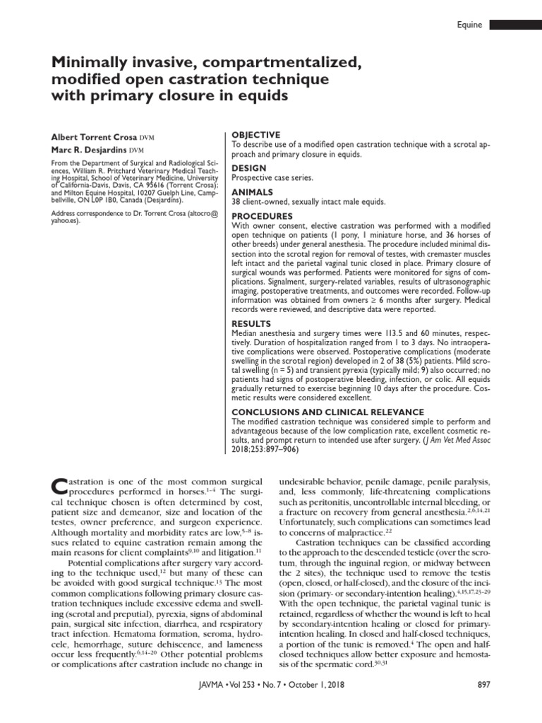 Open Castration With Primary Closure | PDF | Surgery | Anesthesia