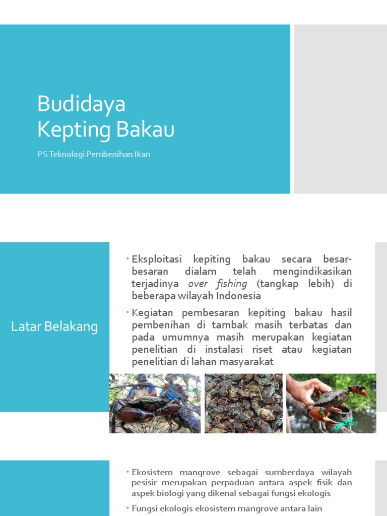 Budidaya Kepiting Bakau | PDF | Sains & Matematika