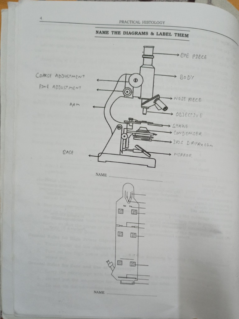 Histology Practical (N.L Mitra) | PDF